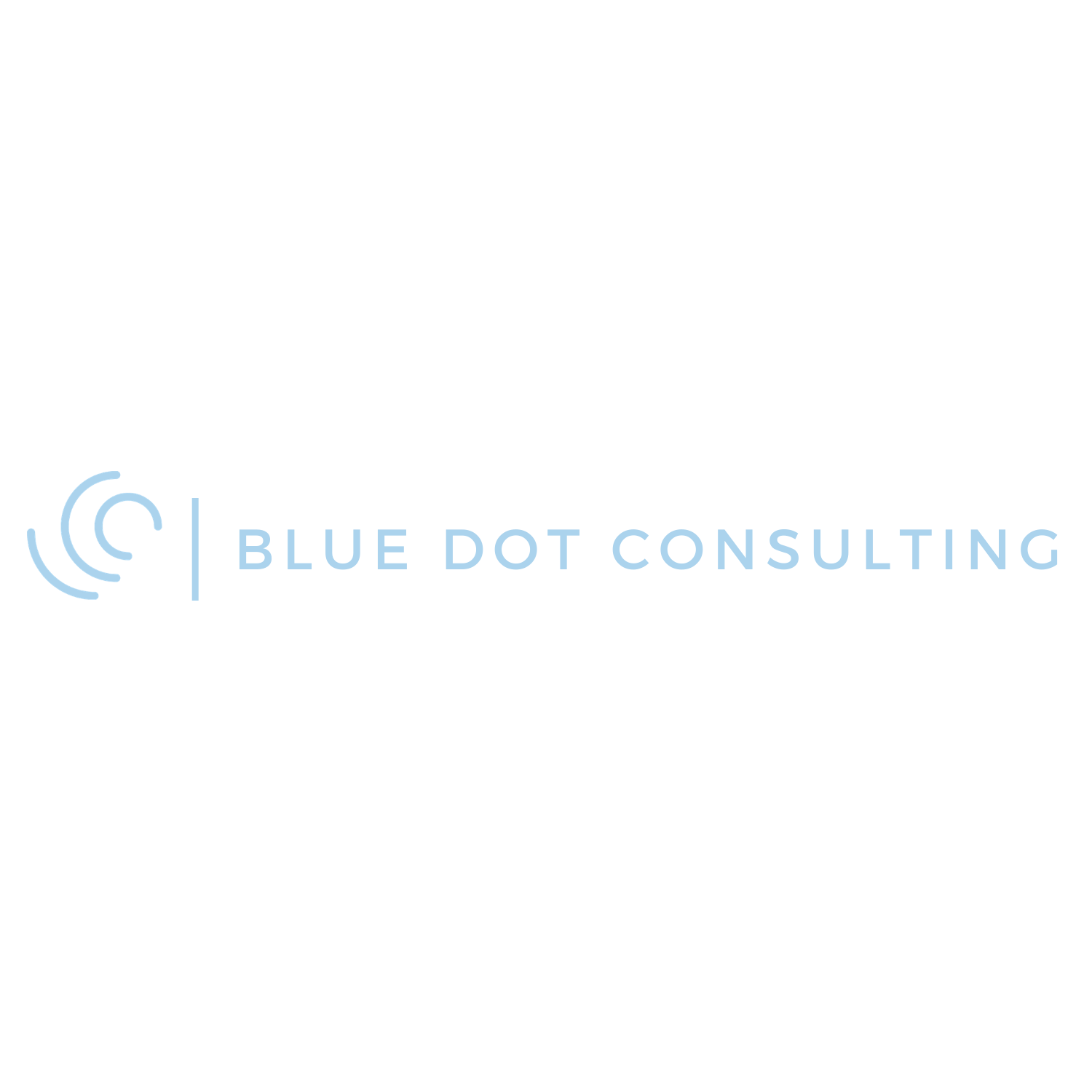 bluedot-consulting.com