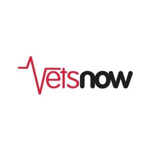 @vets_now Lnk.Bio · link in bio
