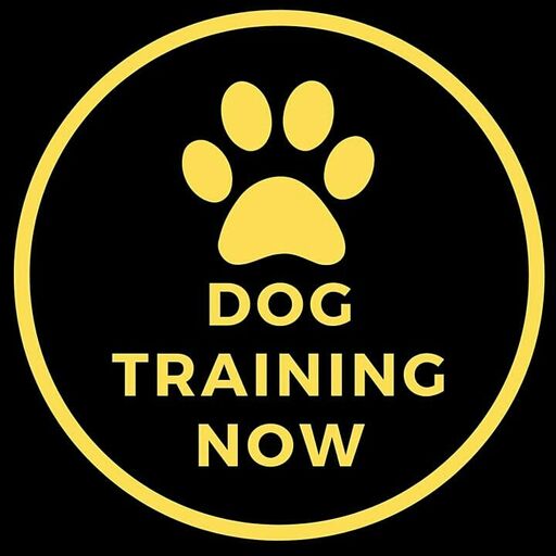 @dog.training.now Lnk.Bio · link in bio