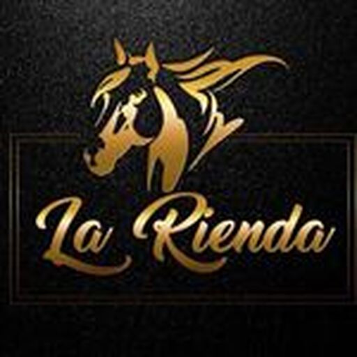 la-rienda Lnk.Bio · link in bio