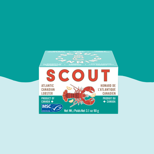 Scout Canning Lnk.Bio · link in bio