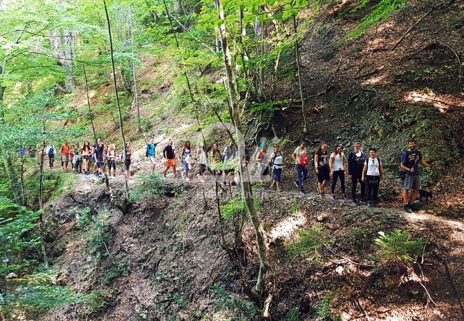 @greenoliver.gr Lnk.Bio - Link in Bio