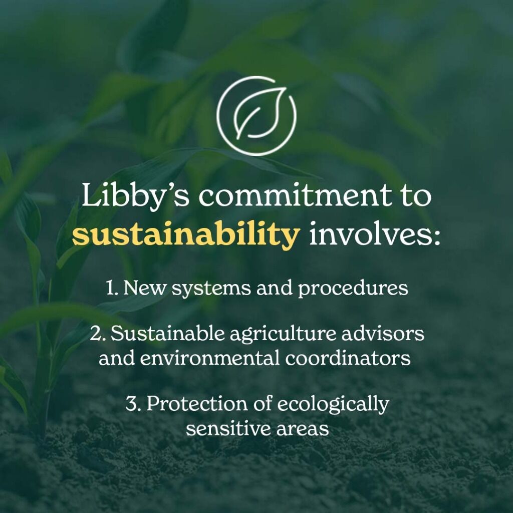 @libbysvegetables Lnk.Bio · link in bio