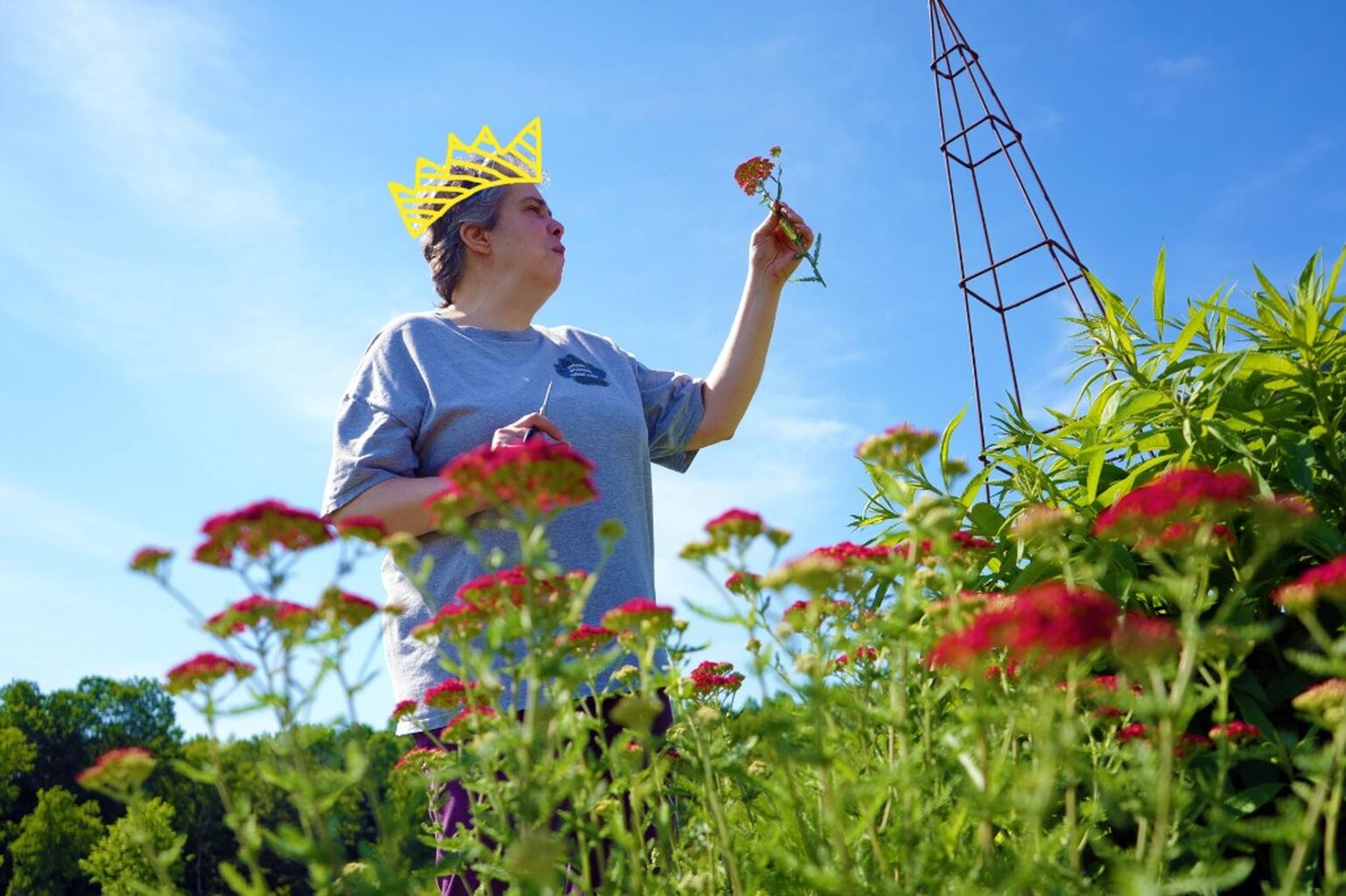 @blue_q Lnk.Bio · link in bio