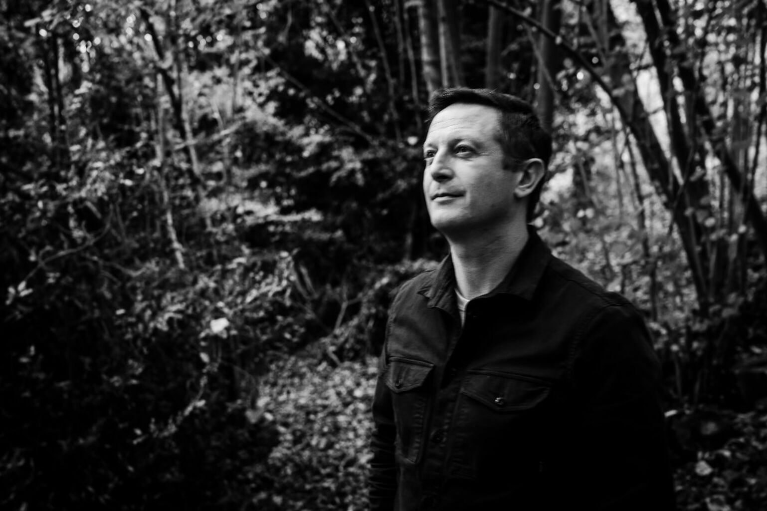 Treehouse Music | Music Licensing