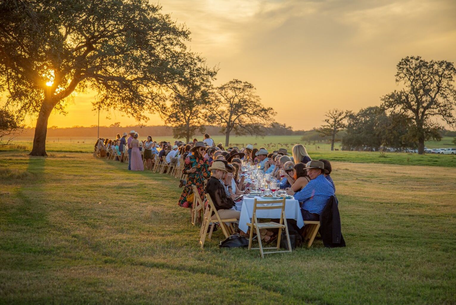 @thehotelemma Lnk.Bio · link in bio